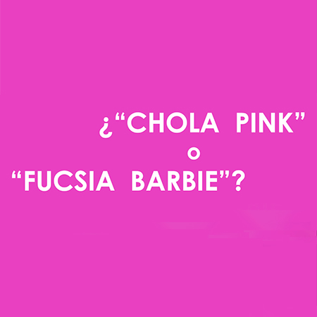 ¿"CHOLA PINK" O "FUCSIA BARBIE"? - Micromuseo